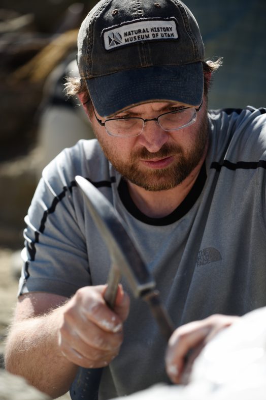 DINO-MITE DISCOVERY – @theU