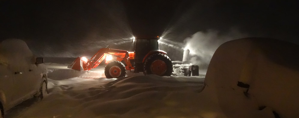 SHAPING SNOWSTORM IMPACTS – @theU