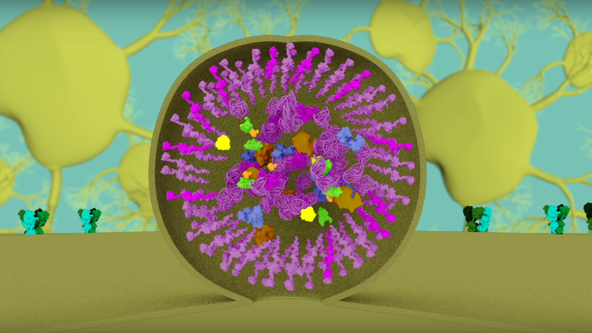 TEDMED: A U neurobiologist explains how viruses shape memory – @theU