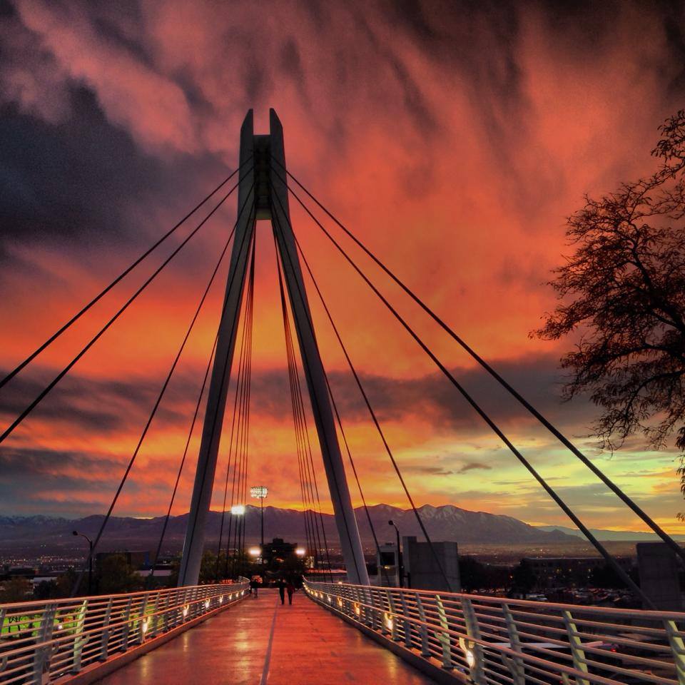 Views of the U – @theU