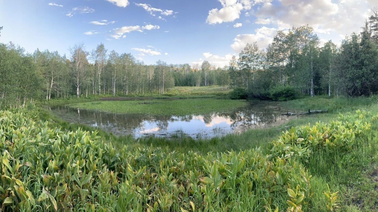 Lizard Lake Trail | @theU