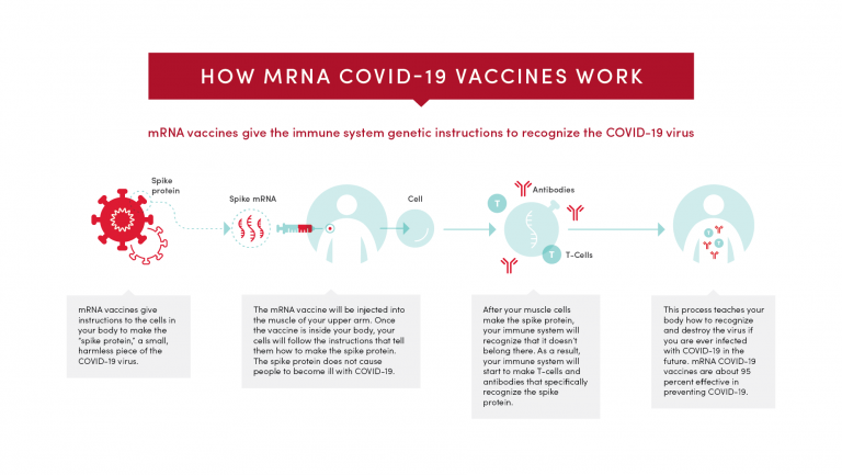 How does the COVID-19 vaccine work? – @theU