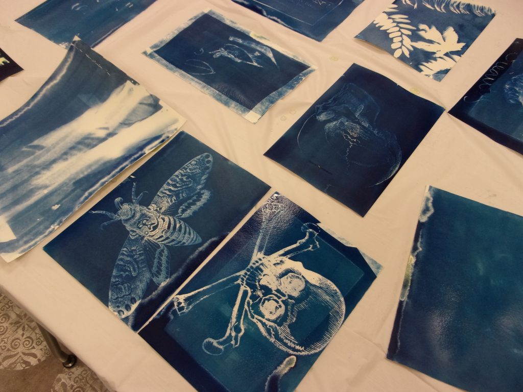 Scientists and artists inspire curiosity and STEM learning for kids in ...