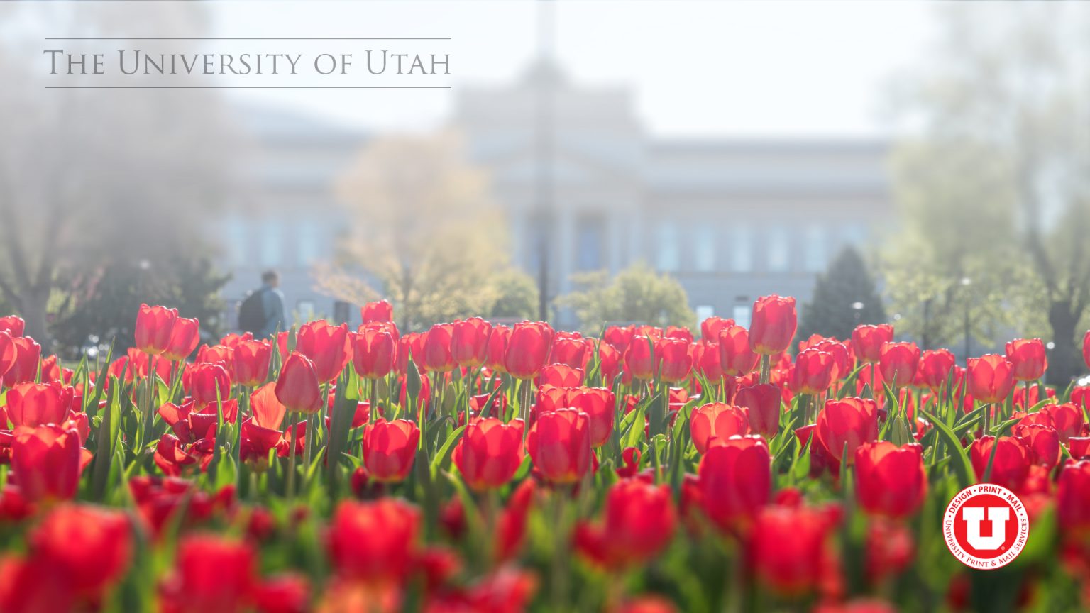 Spring-themed Zoom backgrounds – @theU