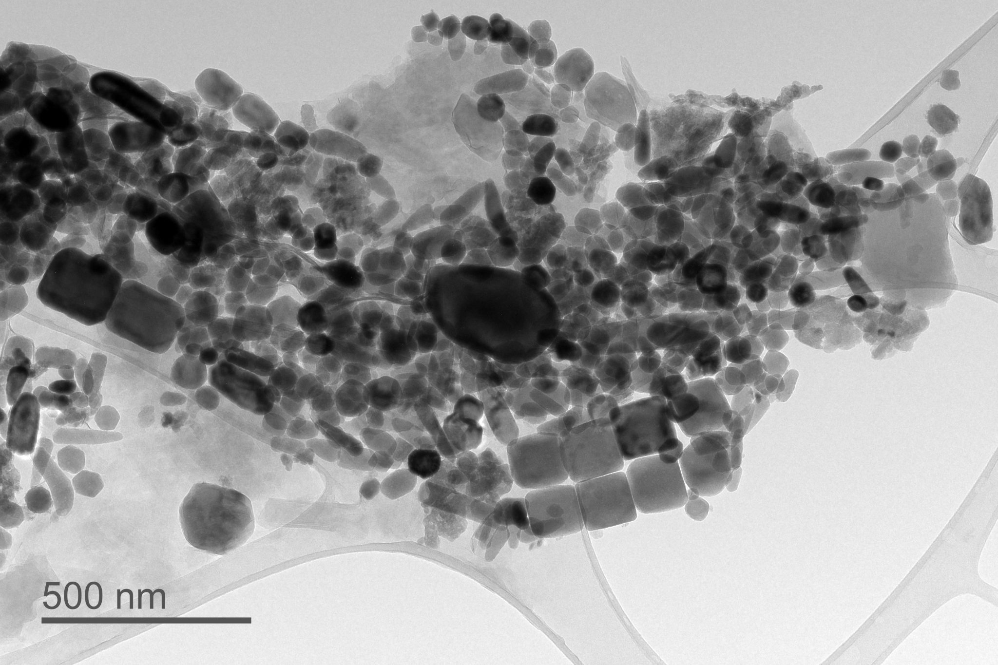 Microscopic fossils record ancient climate conditions – @theU