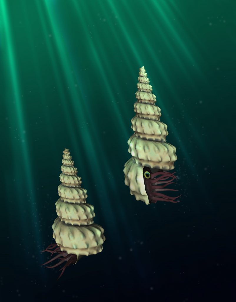 3-D printed replicas reveal swimming capabilities of ancient ...