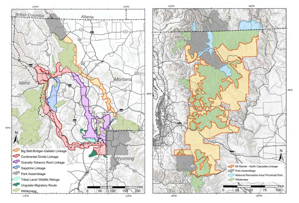 Corridors between national parks would boost mammals’ persistence time ...