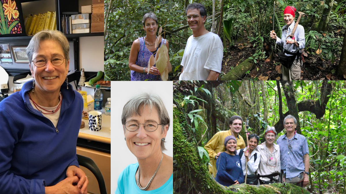 Lissy Coley elected to National Academy of Sciences – @theU