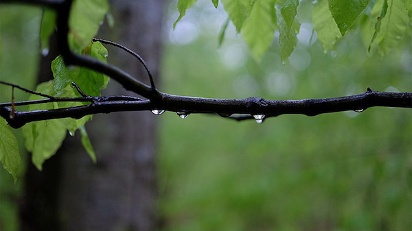 Science in the rain: Alexandra Ponette-Gonzalez – @theU