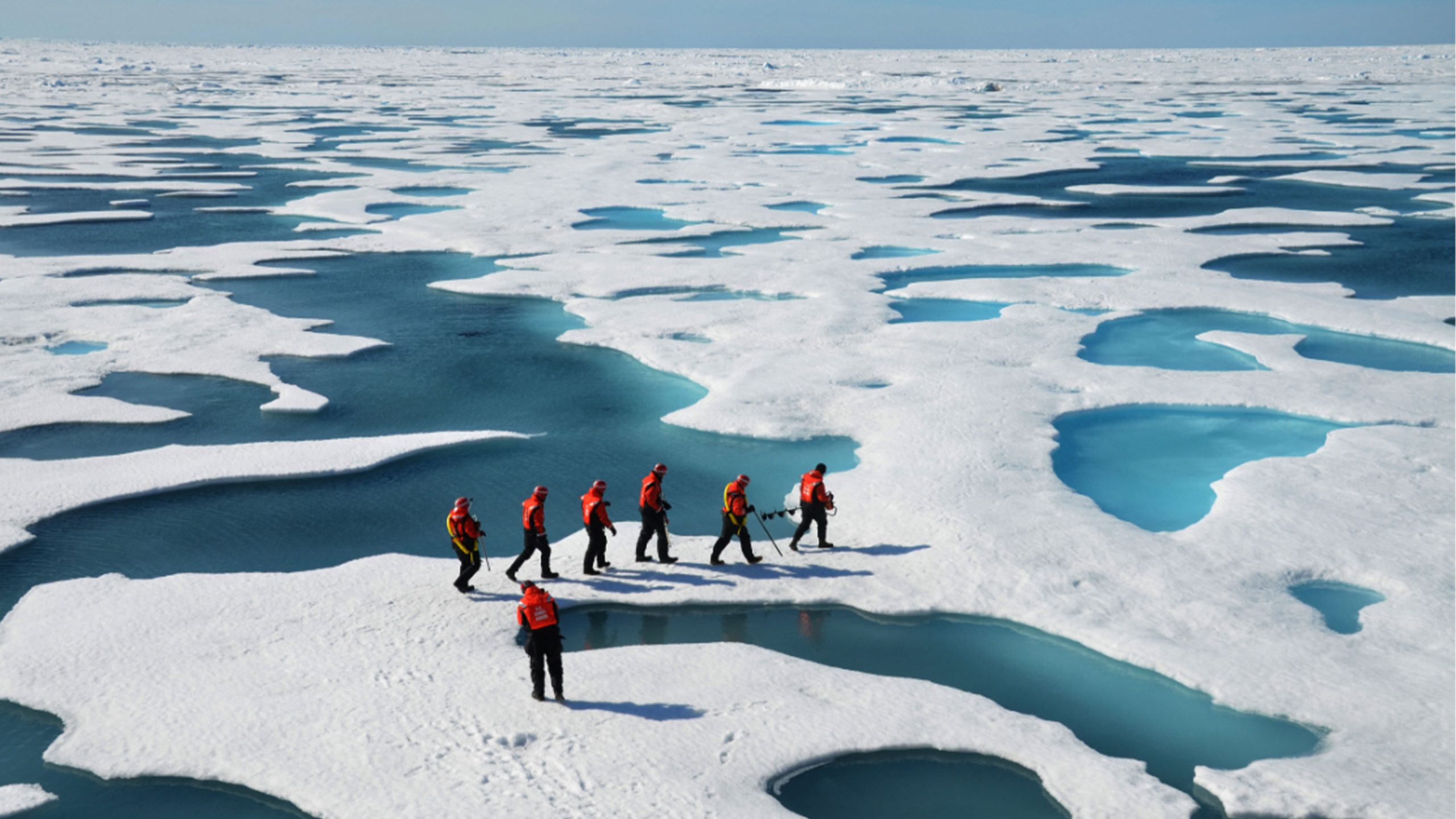 How statistical physics illuminates sea ice, a critical piece of Earth ...
