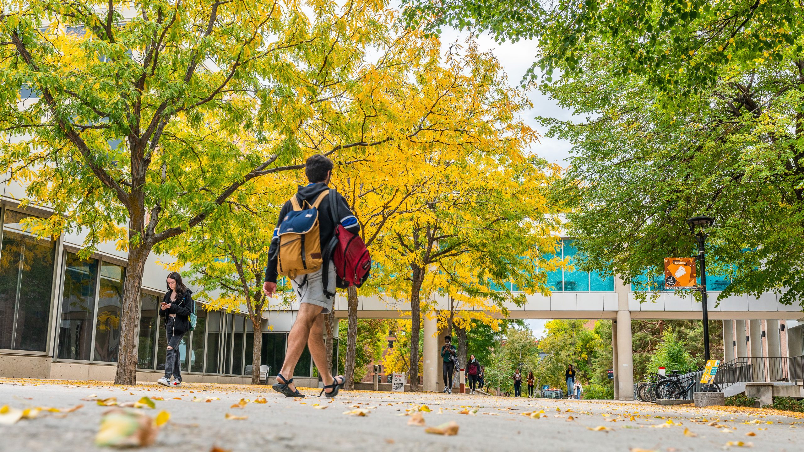 First-year jitters? Tips for a successful start at the U – @theU