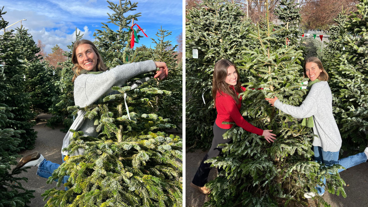 Christmas trees and climate change – @theU