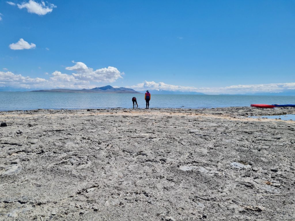 Roundworms and the Great Salt Lake ecosystem – @theU