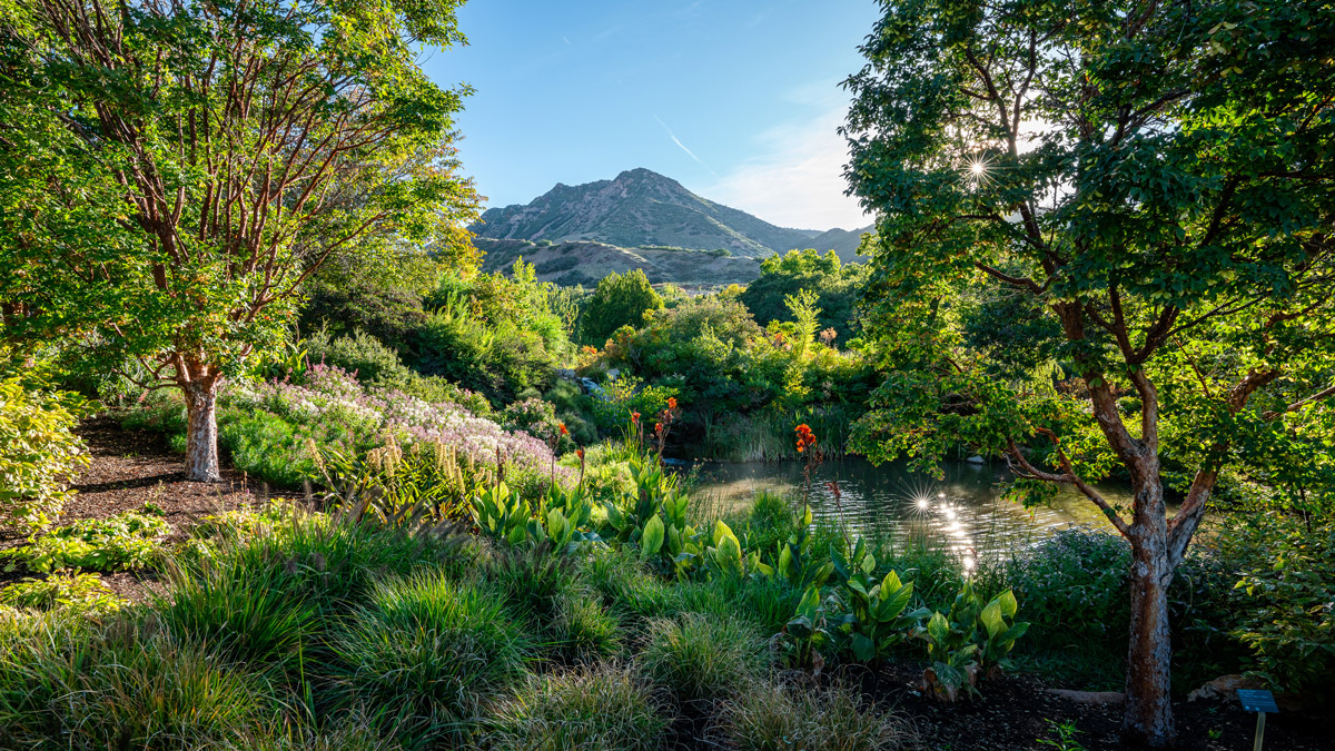 New ‘Blooming with Pride’ event: Plants are for everyone – @theU