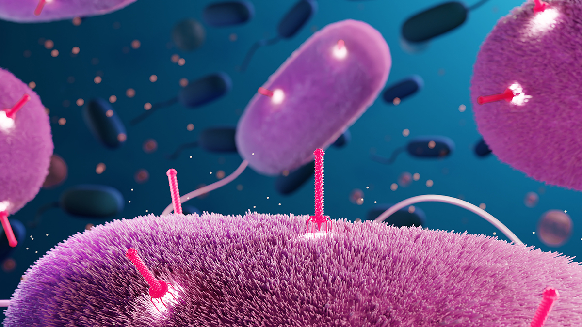 The promising world of bacteriophages, the pathogen’s pathogen – @theU