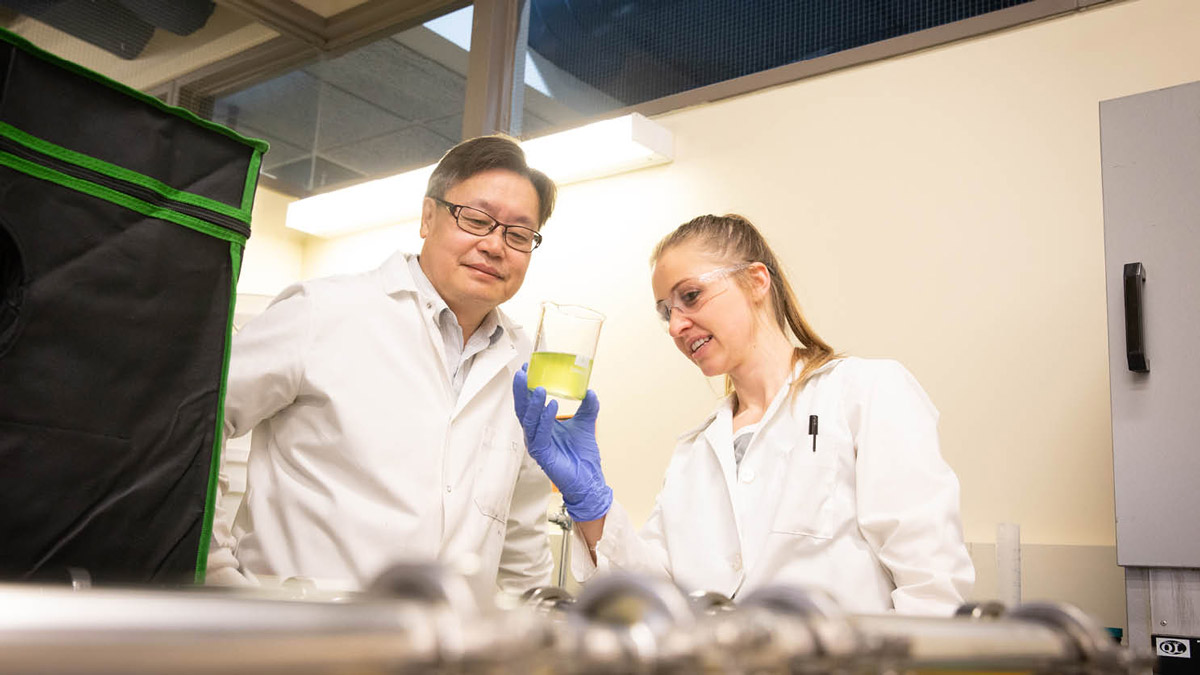 Nanobubbles Tiny Powerhouses With Huge Potential Theu