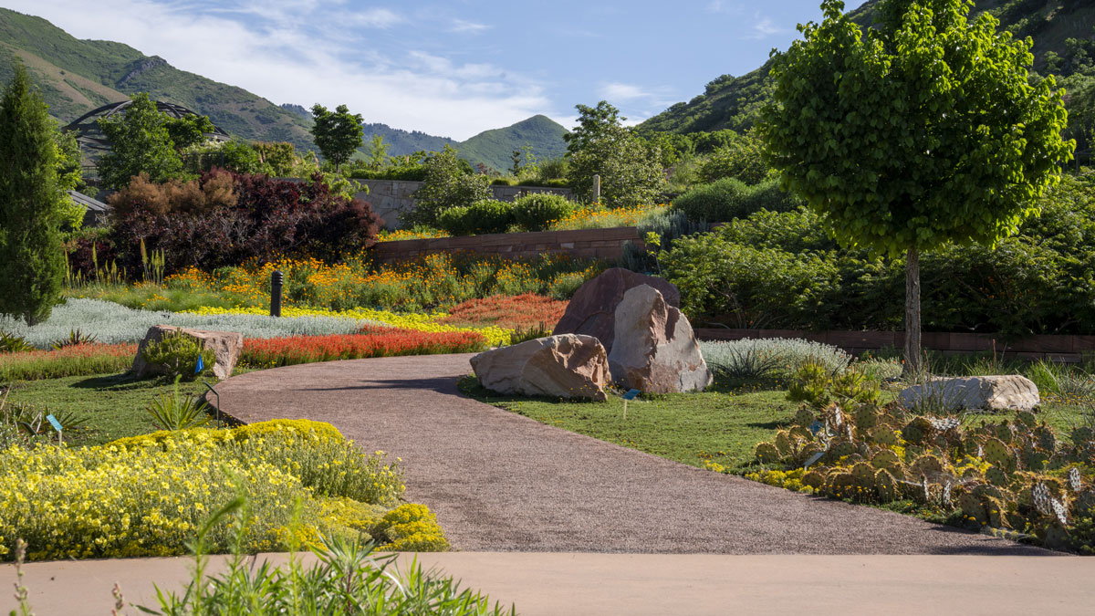 What to do with your UCard this summer – @theU