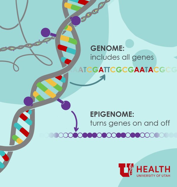 Beyond the genome – @theU