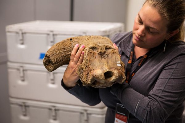 Explorer Corps app, a Utah road-tripper’s best friend – @theU