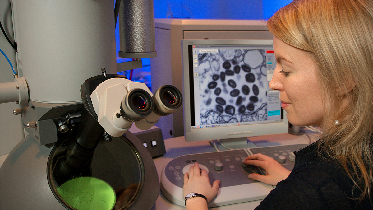 In search of new microscopy tools to observe how cells function – @theU