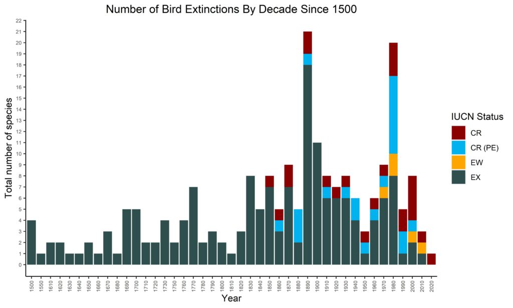 Discovering the traits of extinct birds – @theU