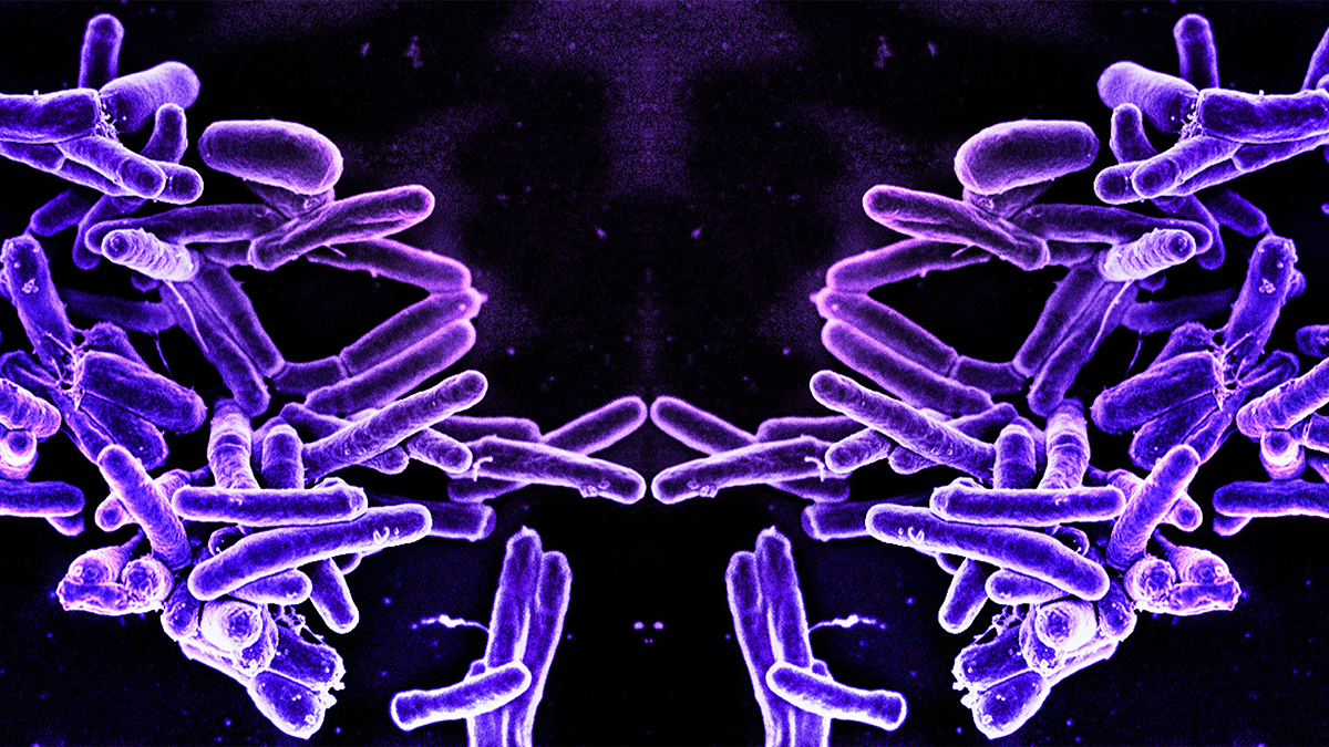 Mirror life – @theU