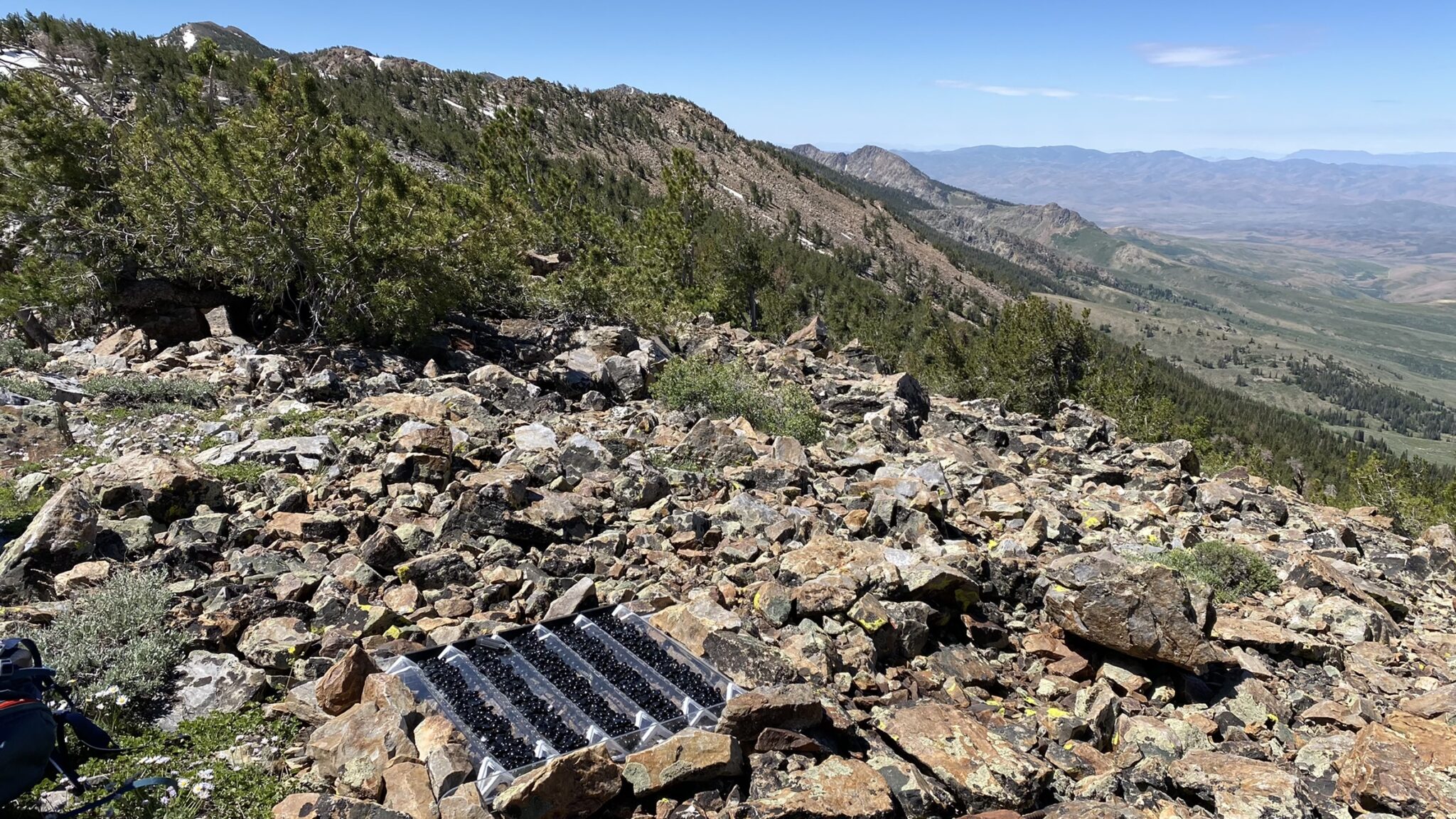 Dust in the Wind: How cities alter natural airborne particles – @theU