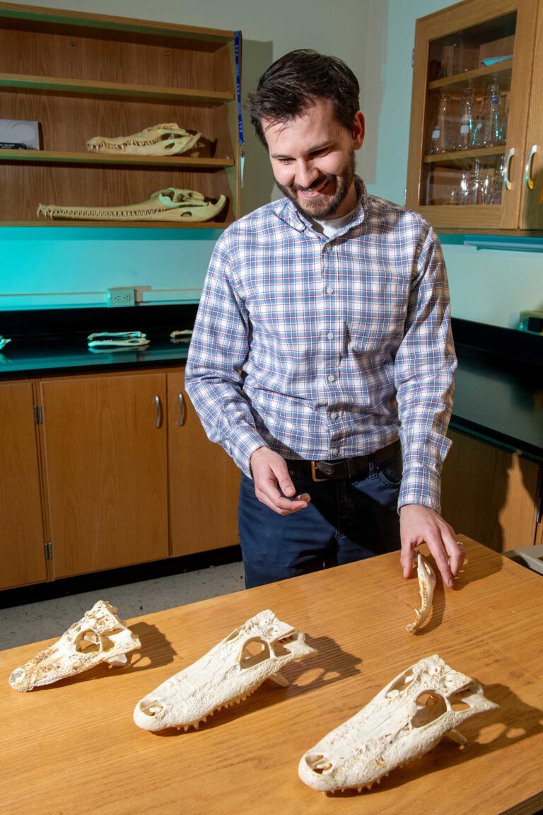 For a while, crocodile – @theU