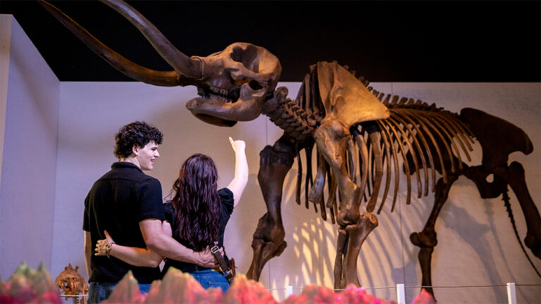 Living in the new ice age – @theU