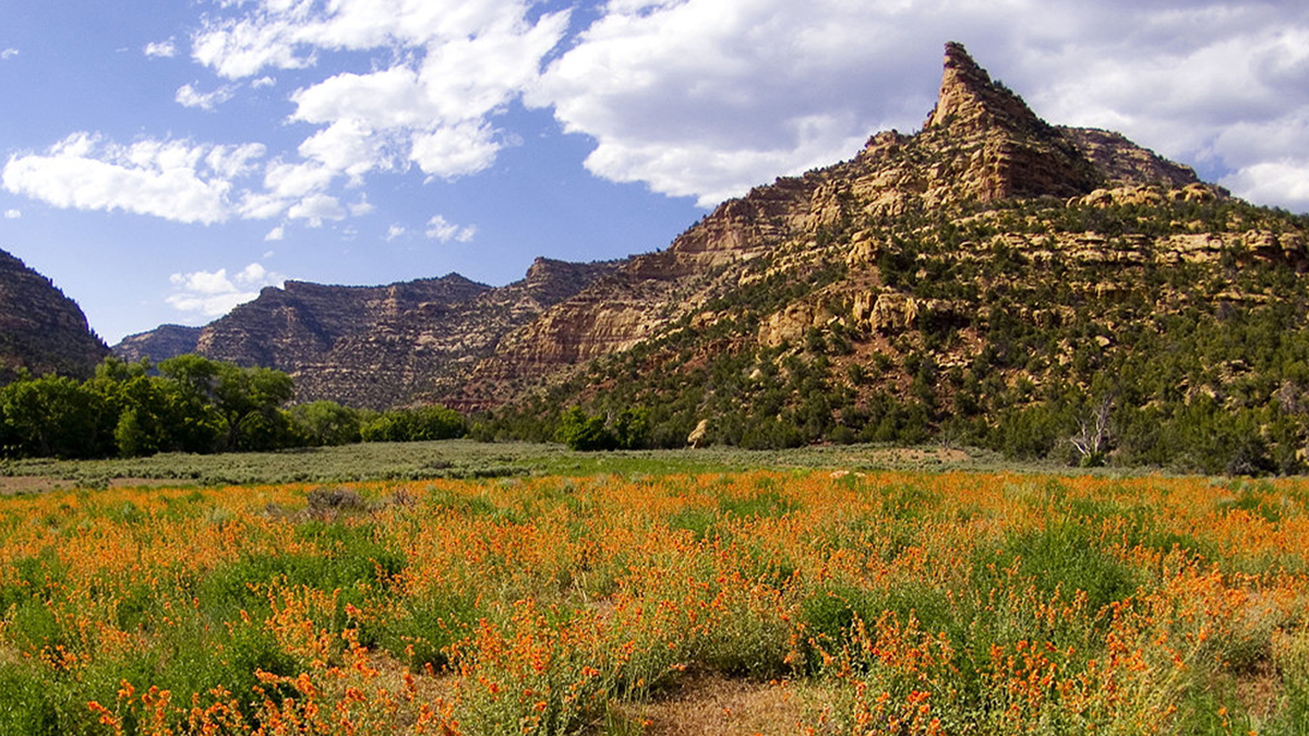 The poop-pile time capsules of Range Creek Canyon – @theU